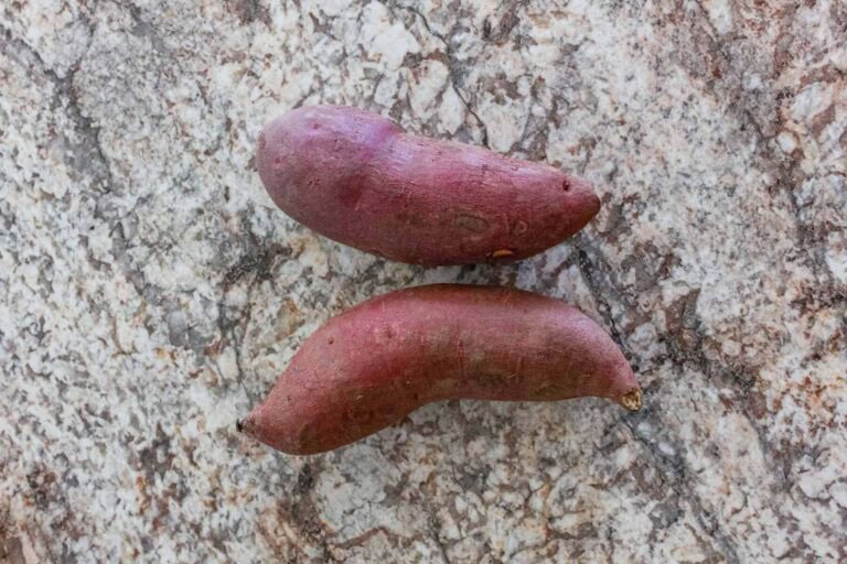 Baked Japanese Sweet Potatoes Oven & Air Fryer (Yaki Imo) | Give Me Umami