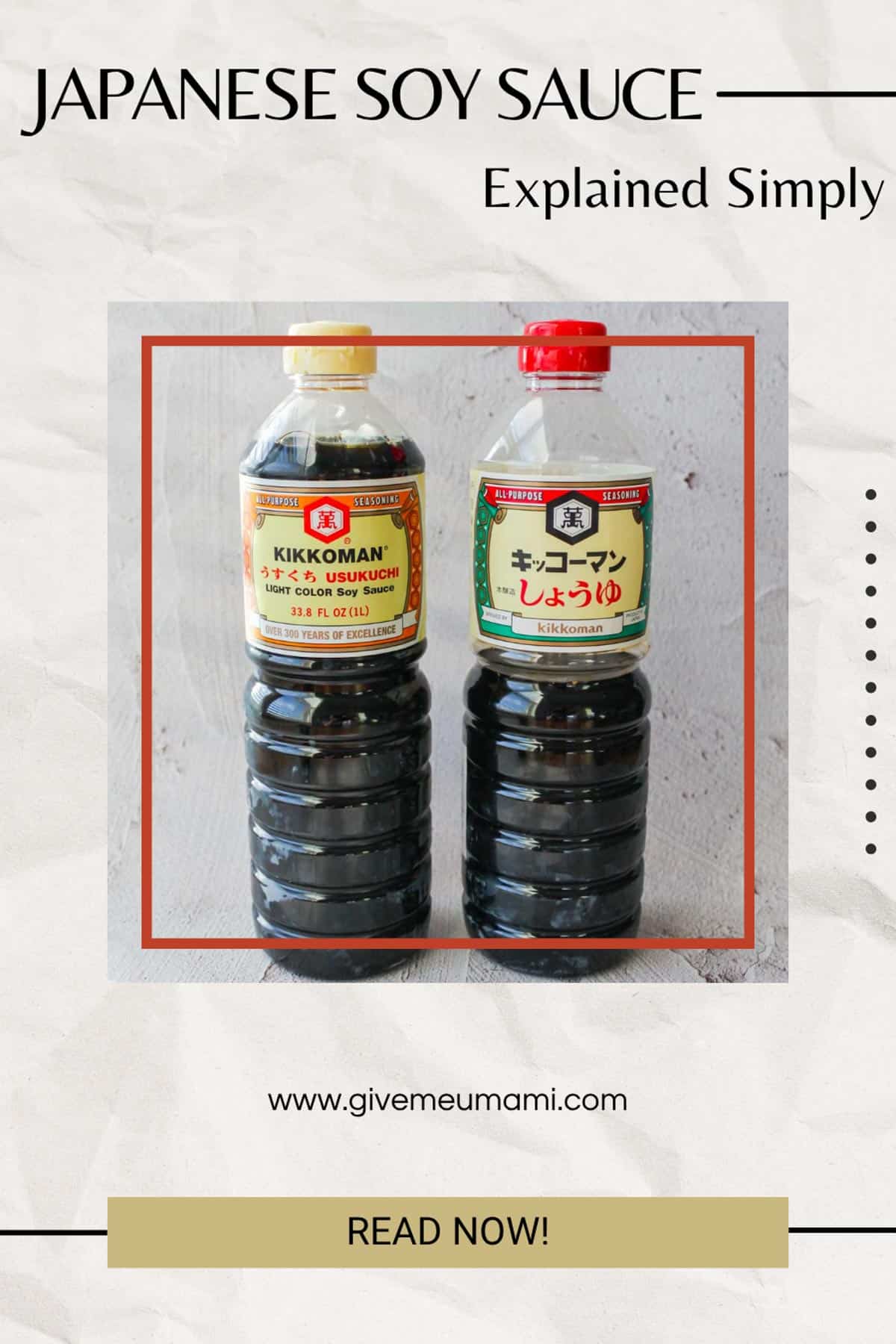 Japanese Soy Sauce 101: What It Is, Types, Uses, and More | Give Me Umami